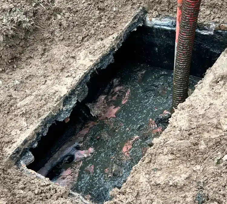 Septic Tank Cleaning: What You Need to Know – PumperJack Septic